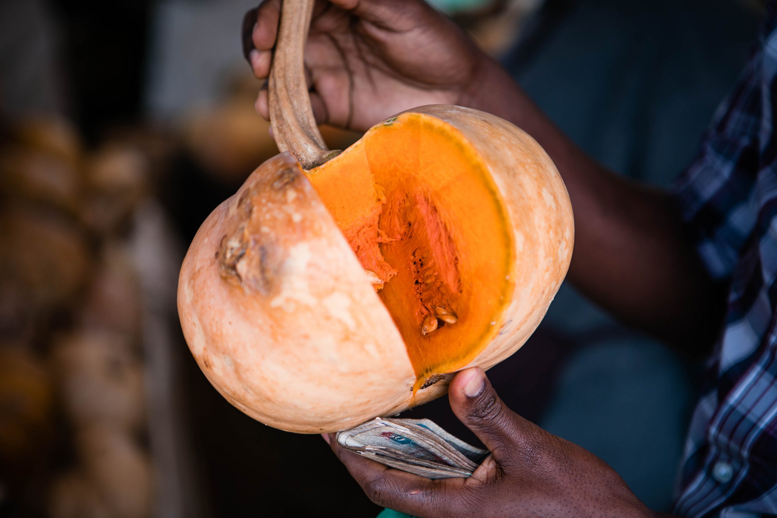 IPPC Capacity Development guides now available in French - COLEAD NEWS