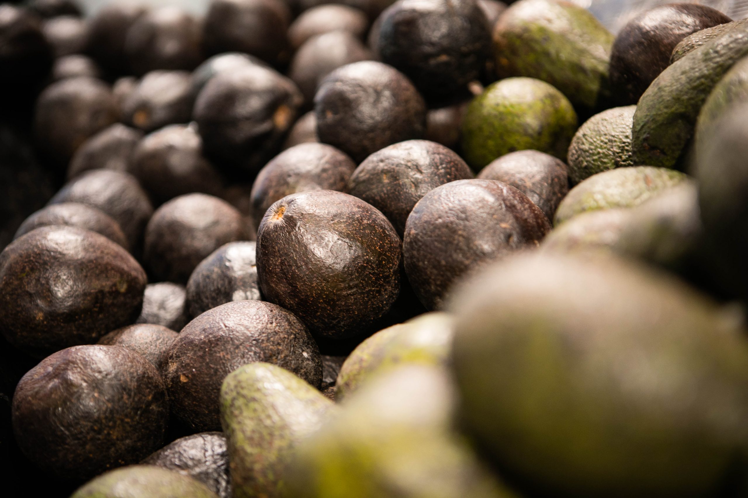 Collective coaching on dry matter testing - COLEAD NEWS