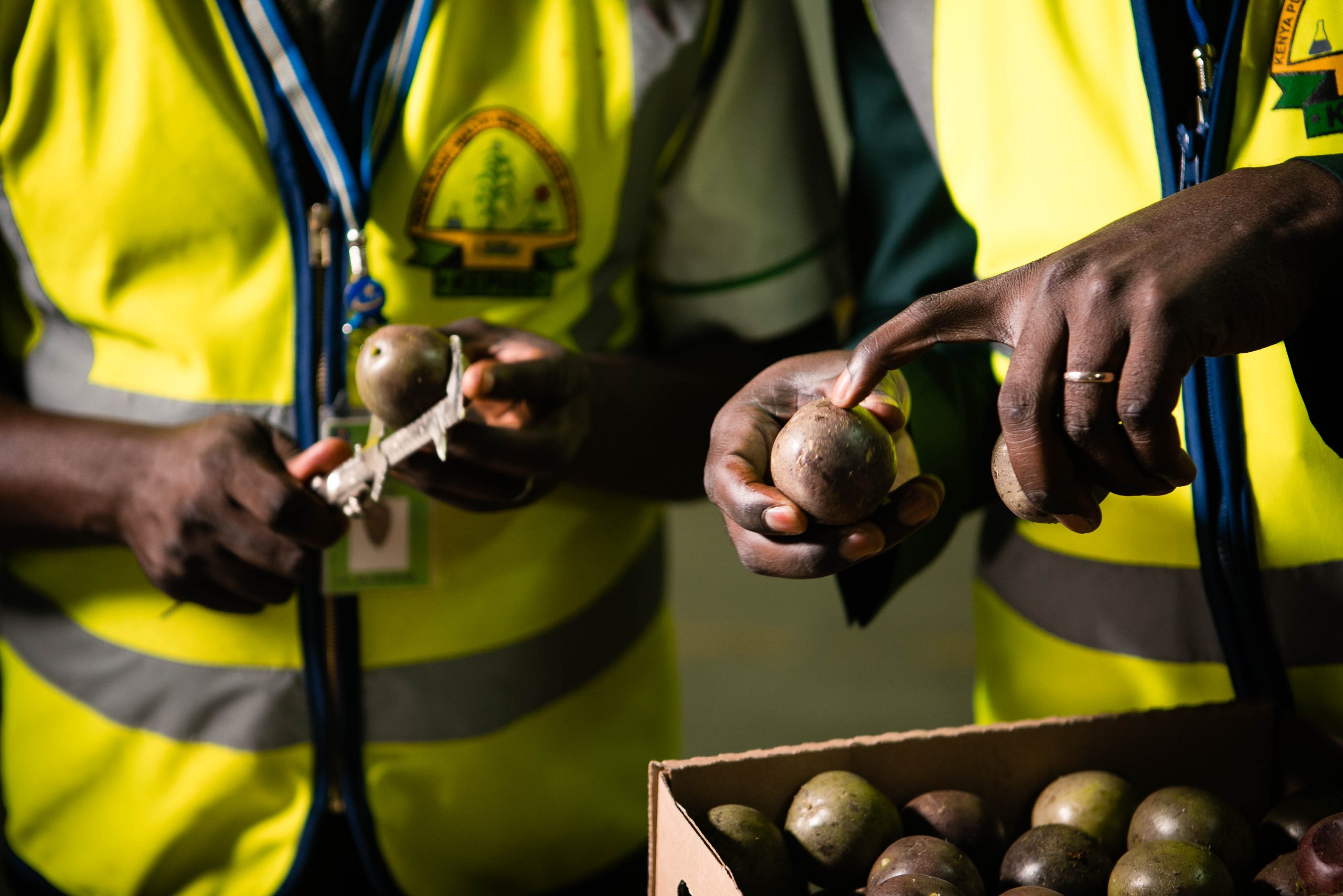 Training for NPPO inspectors: Organisation and implementation of ...