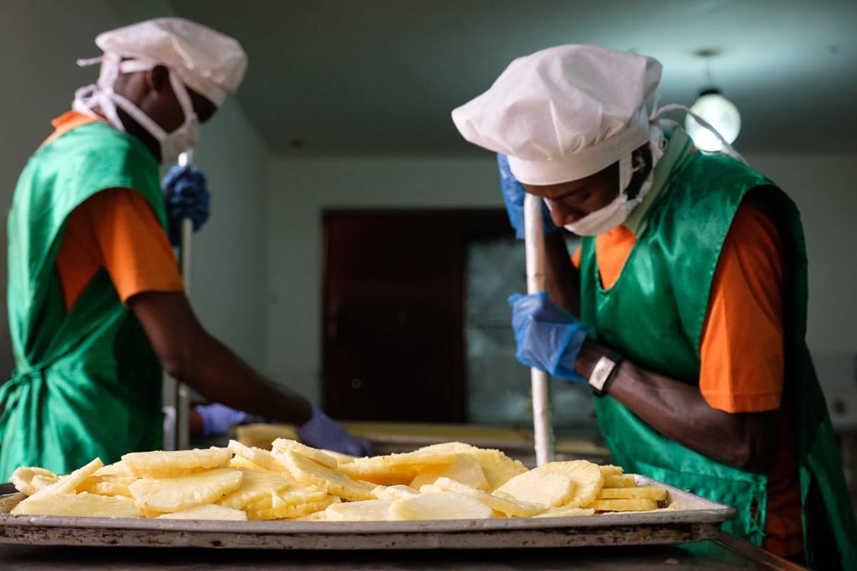 New COLEACP Rapid SPS Assessment Tool – promoting dialogue and ...