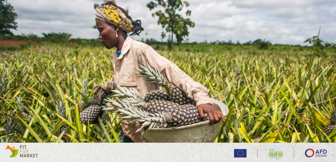 Training on traceability for FENACOPAB - COLEAD NEWS