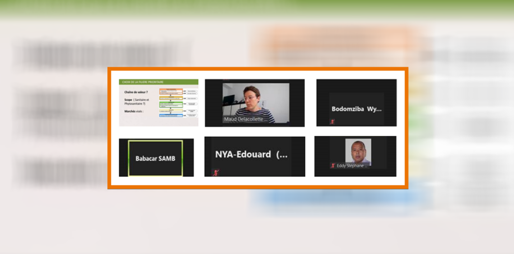 Launch of the French version of the COLEACP Rapid SPS Assessment Tool ...