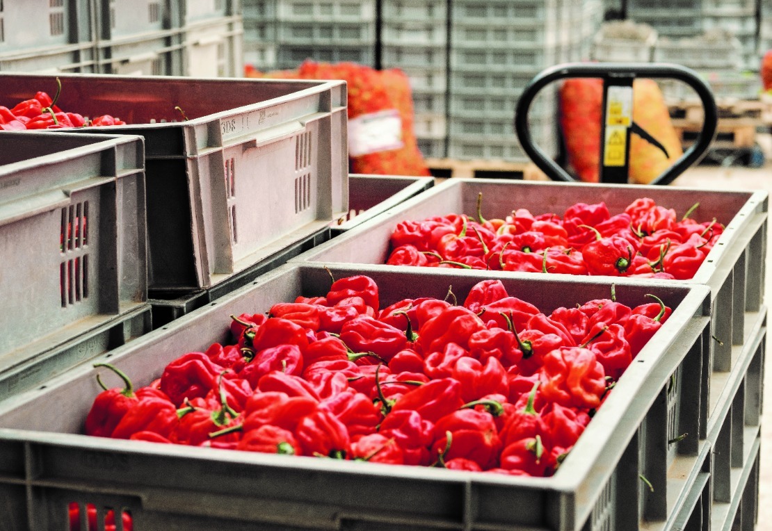 Launch of the COLEACP Rapid SPS Assessment Tool (R-SAT) in Côte d ...