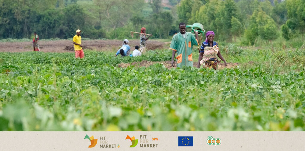 EC “Mirror Clauses” report reiterates importance of WTO rules and ...