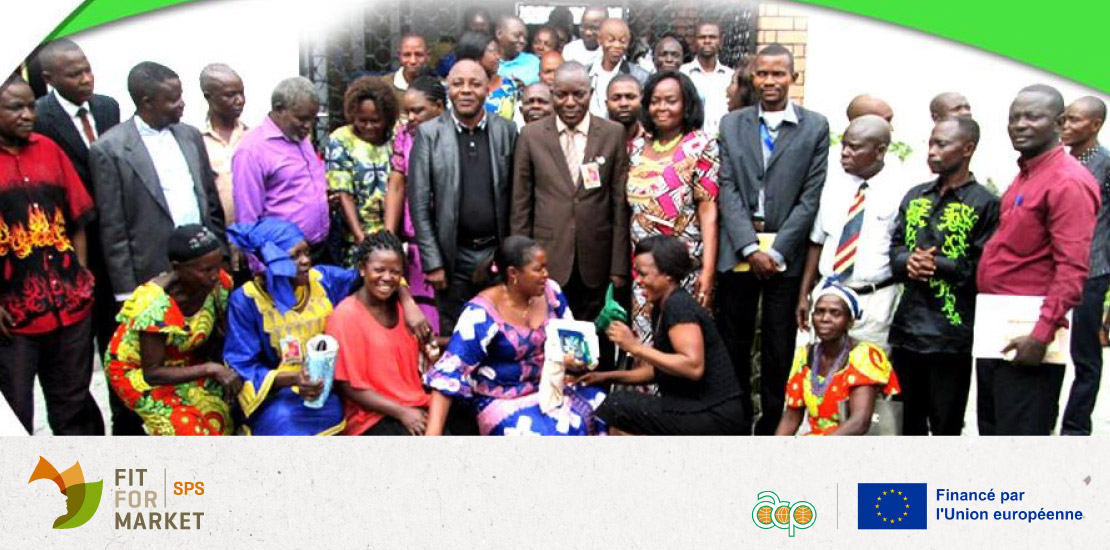 République Démocratique du Congo : Amélioration du système de formation ...