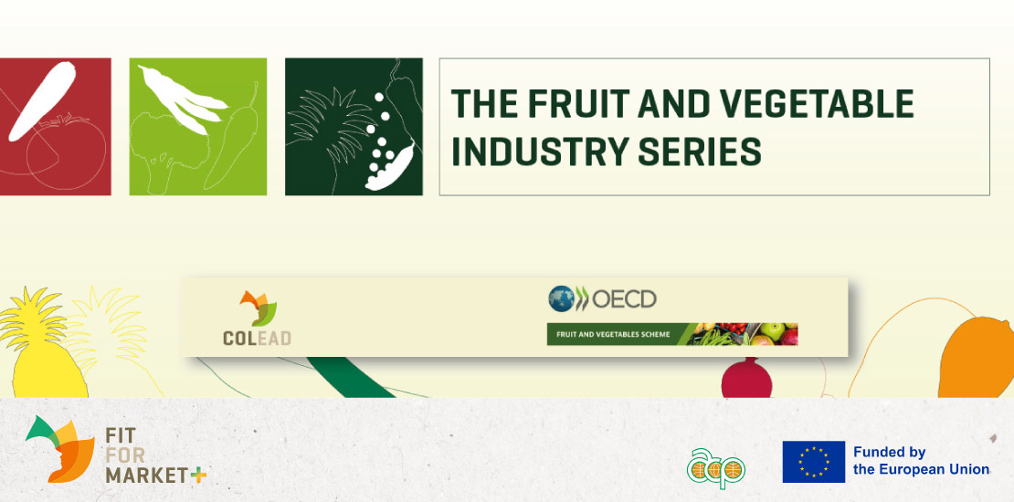 OECD-COLEAD: Operational collaboration for the fruit and vegetable industry - COLEAD NEWS