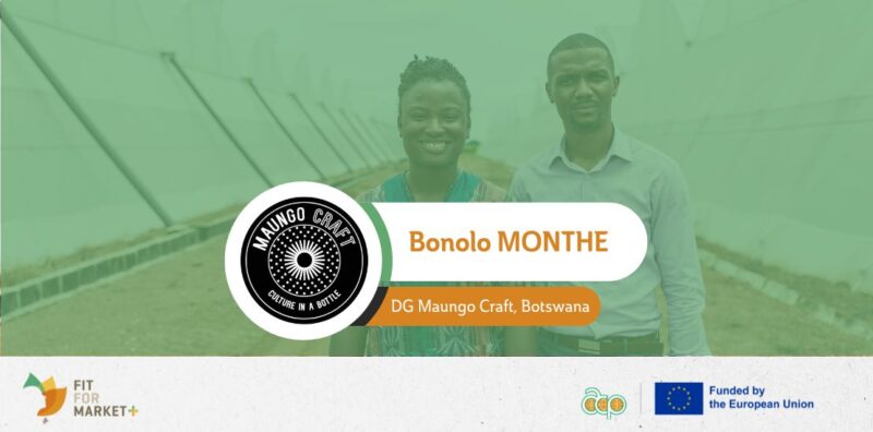 Do you know Bonolo Monthe, CEO of Maungo Craft in Botswana? - COLEAD NEWS