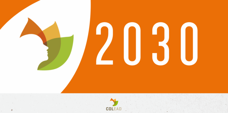 Join the COLEAD 2030 movement. Your voice matters! 👉 2030@colead.link - COLEAD NEWS