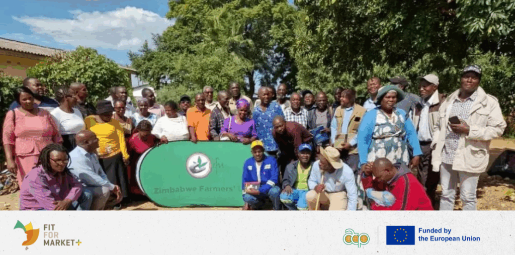 Zimbabwe: introducing good agricultural practices …through farmer-led ...