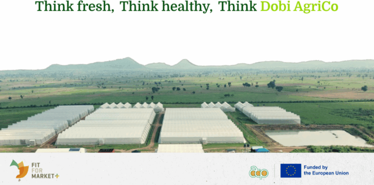 Development of an internal training system – example of Dobi AgriCo Ltd ...