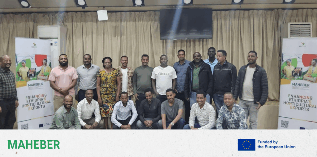 Supporting the avocado value chain – the example of Ethiopia - COLEAD NEWS